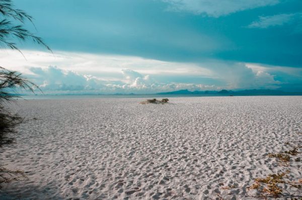What places to visit in Phi Phi Island? Beaches I Snorkeling Spots I ...