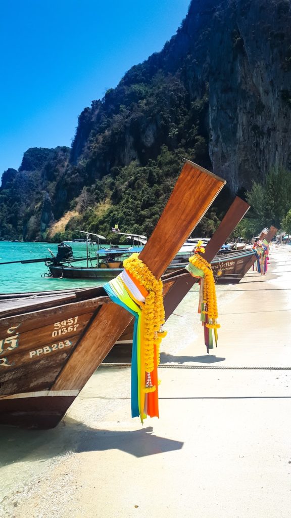 Plankton Tour Phi Phi - Half Day Tour With Sunset BOOK NOW